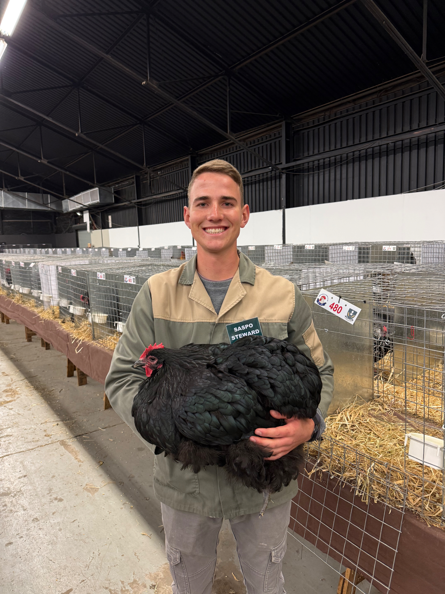 Mooispruit Orpingtons - Breeding Genetic Excellence in Show Orpingtons